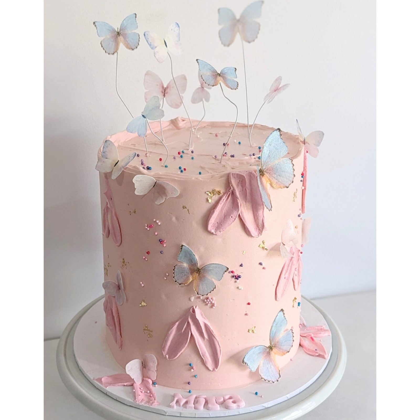 Butterfly Themed Cake | Tammy's Cakes